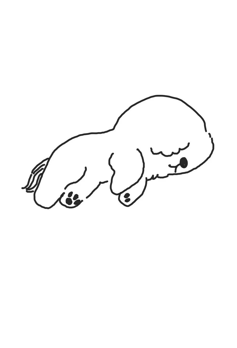 動物への人間のマナー - moshik.kr