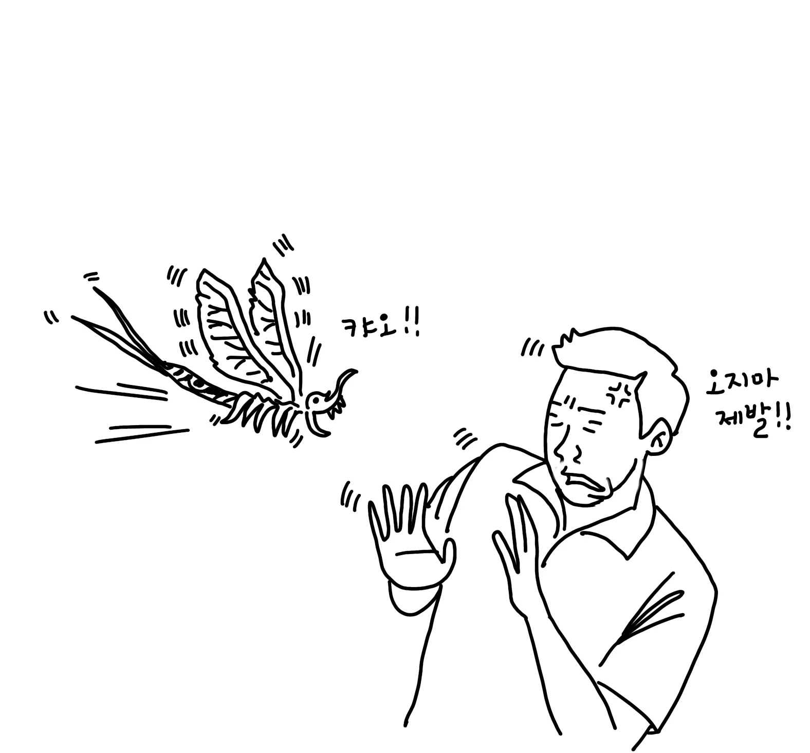 압구정벌레と夏 - moshik.kr