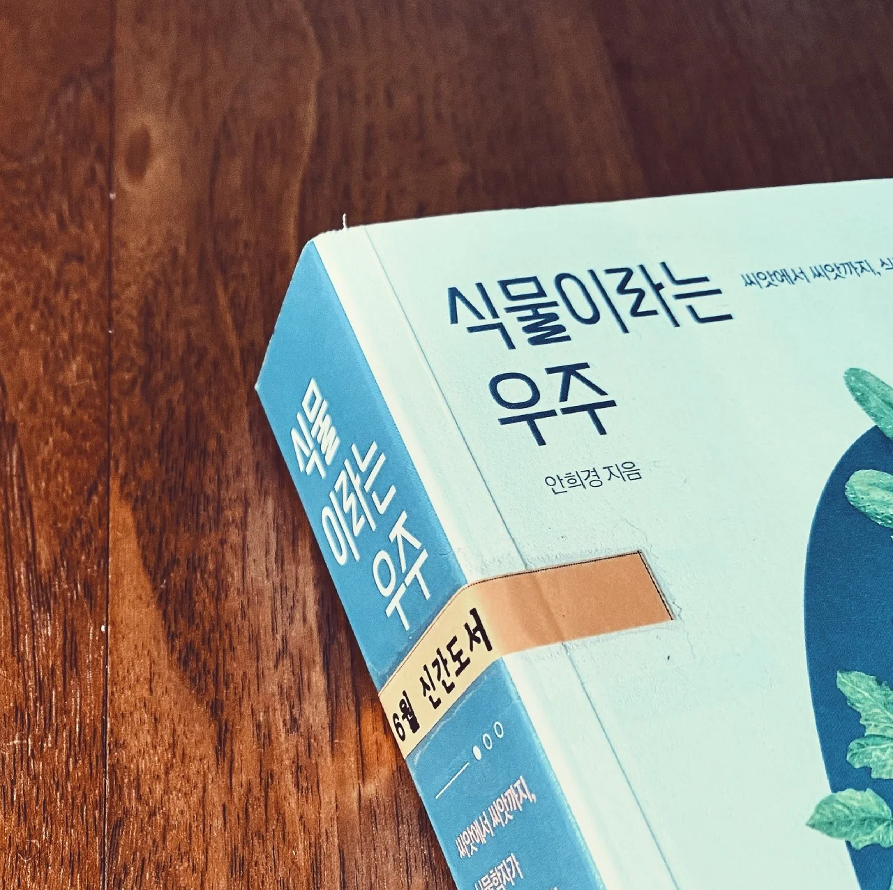 植物という宇宙 - moshik.kr