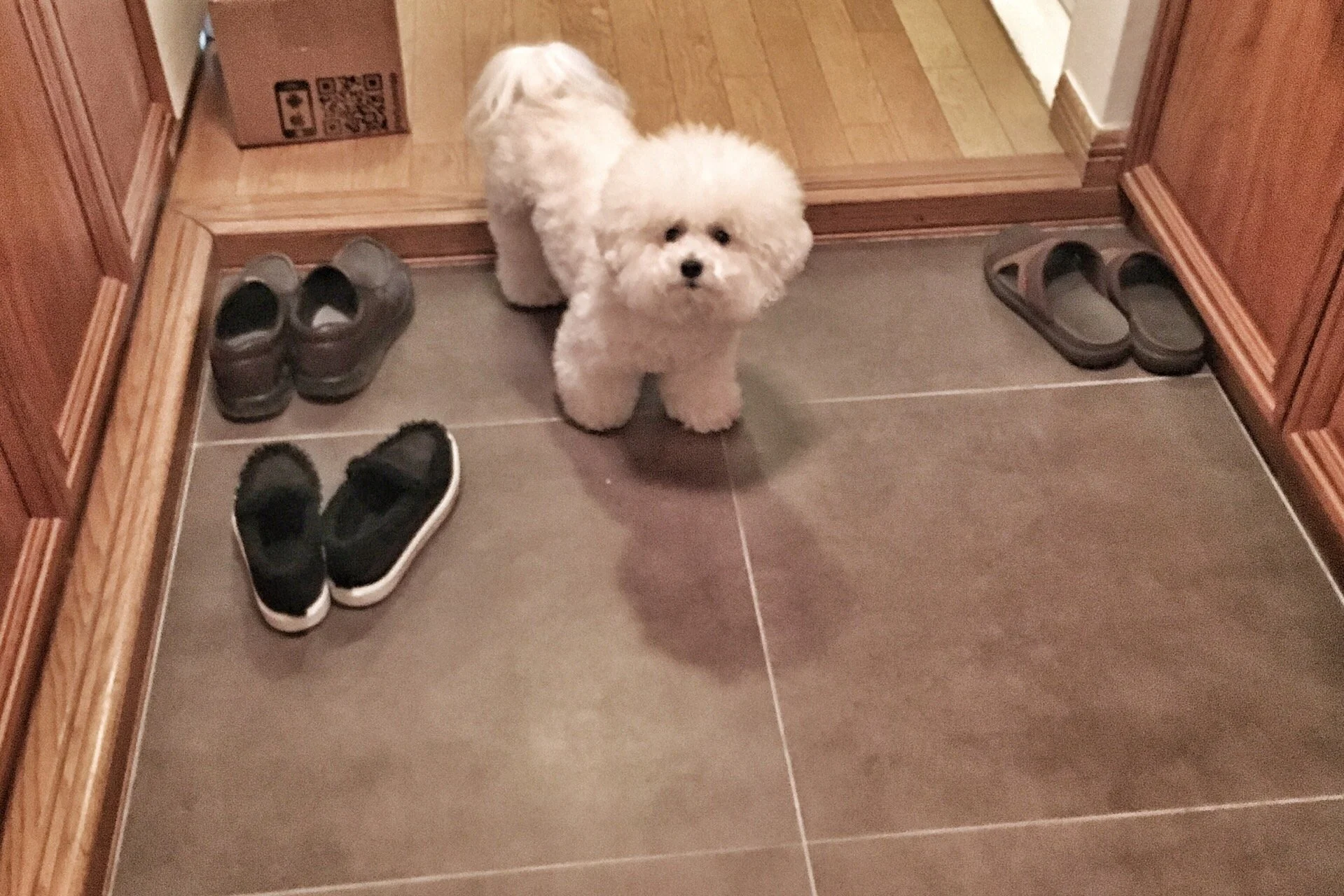 無邪気を壊す者 - moshik.kr